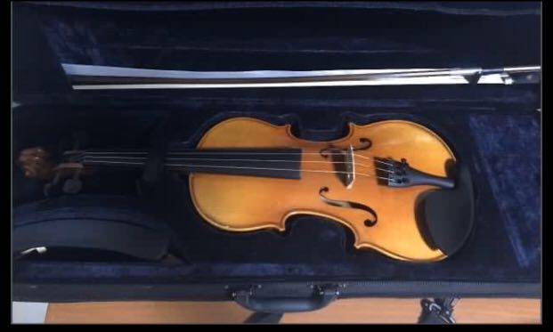 Advanced Intermediate 4/4 Eurostring Violin Model 300, Hobbies & Toys ...
