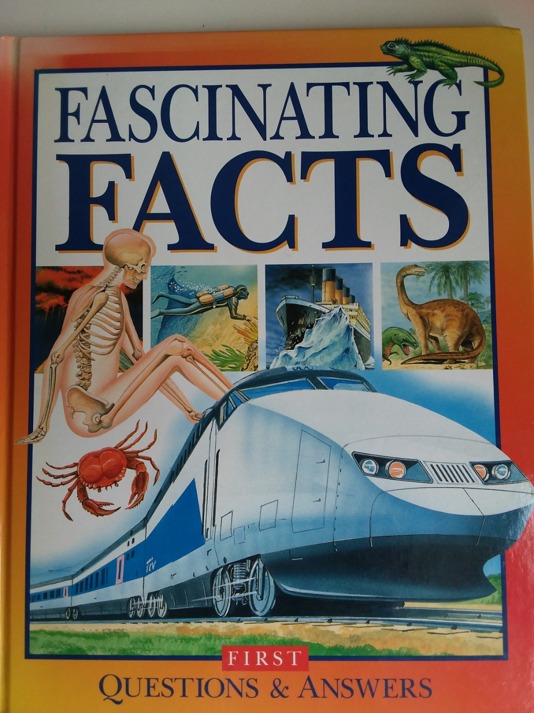 Fasinating Facts - First Questions & Answers, Hobbies & Toys, Books ...