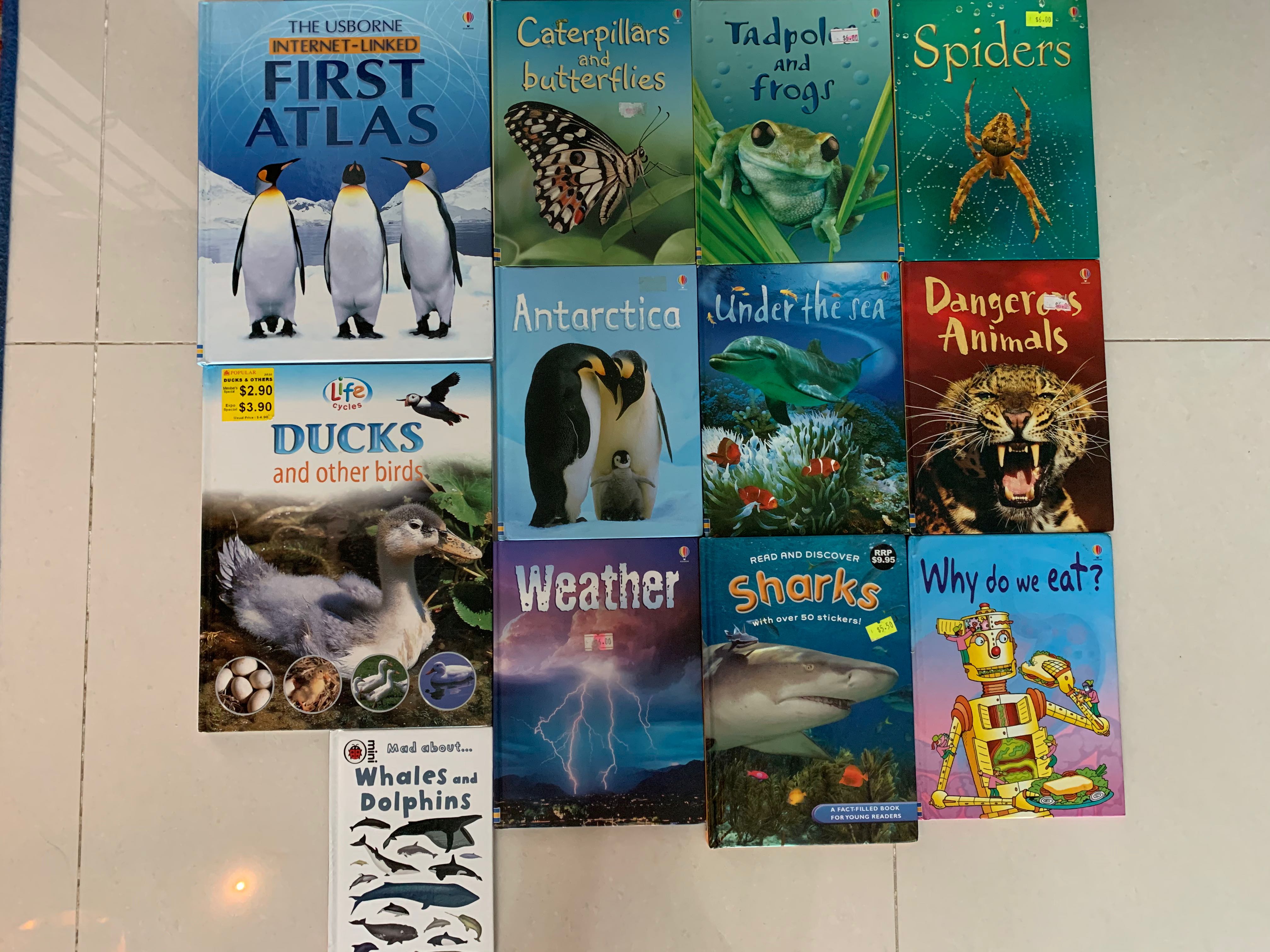 Usborne Beginners, ladybird and life cycles - science fiction books for ...