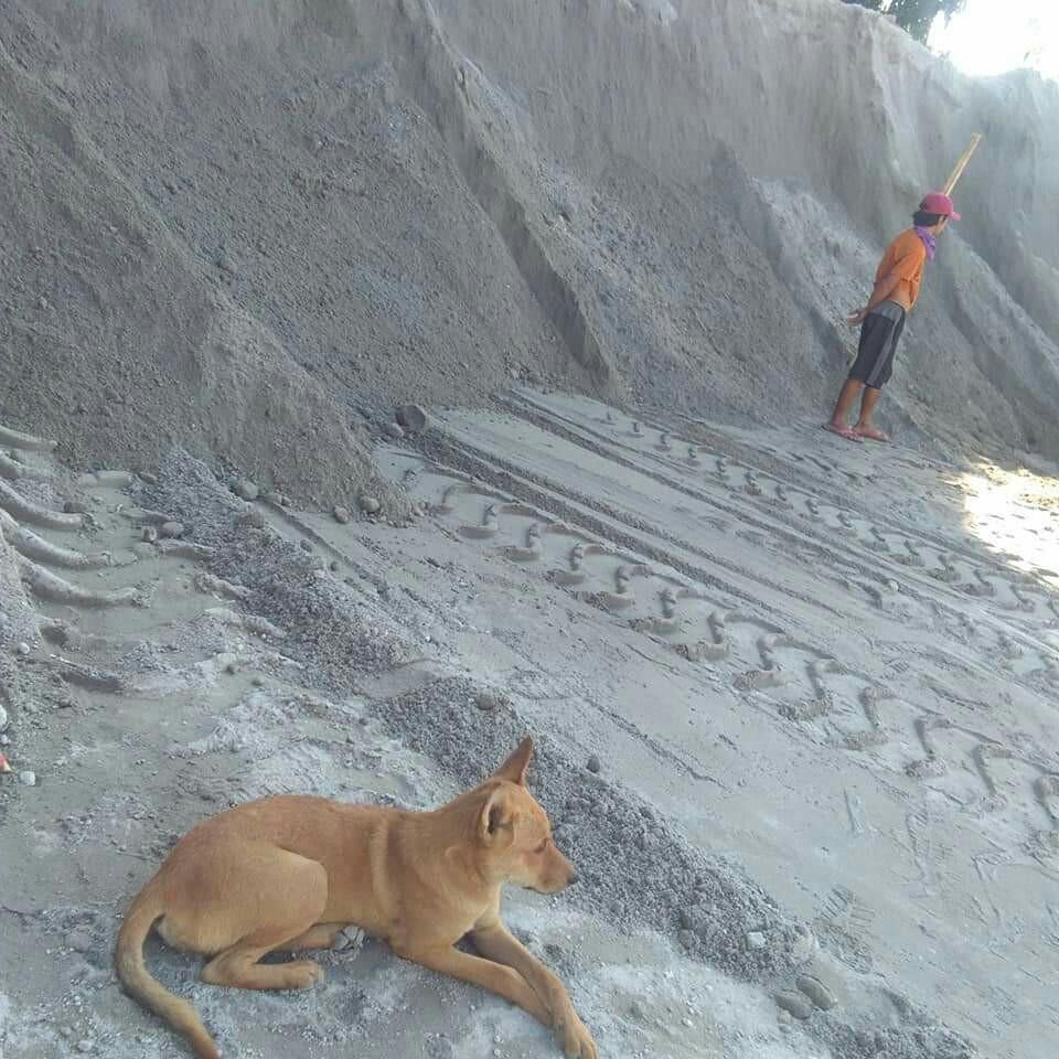 All about Panambak, Looking For on Carousell