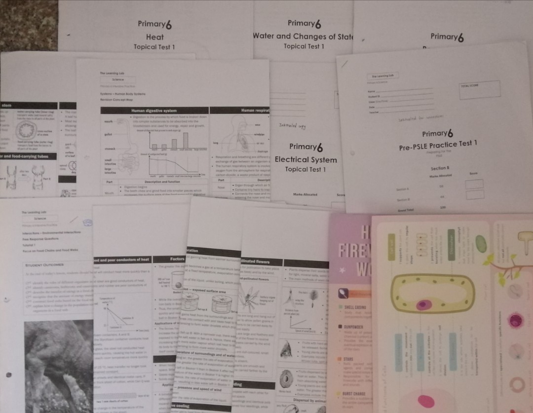 TLL The Learning labs Psle P6 Science including concept maths notes ...