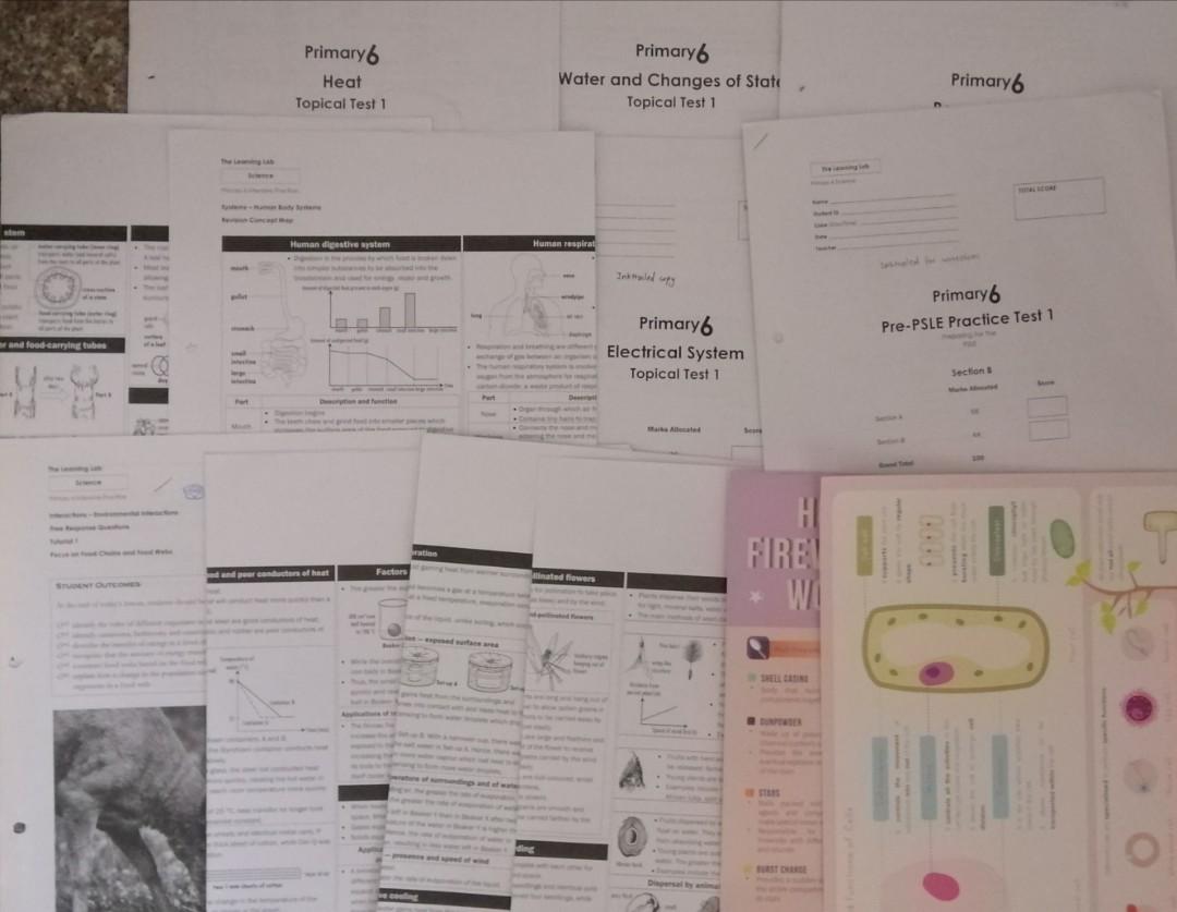 TLL The Learning labs Psle P6 Science including concept maths notes ...