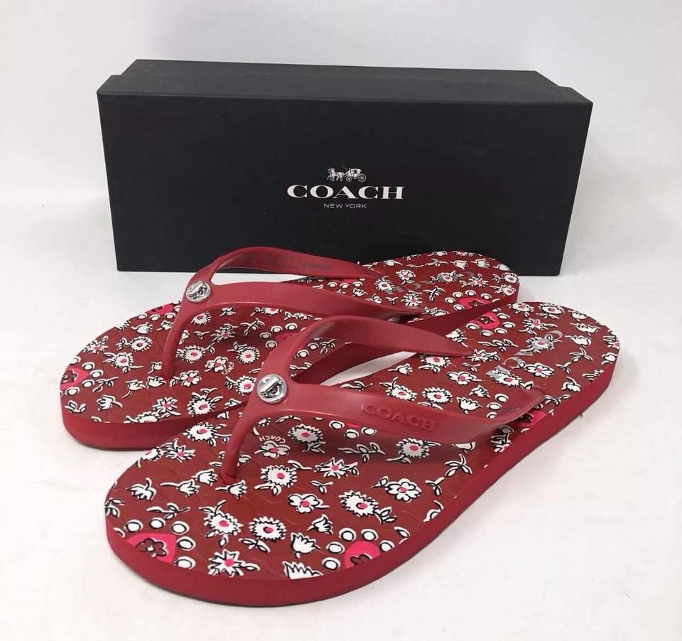 Coach Slippers, Women's Fashion, Footwear, Flats & Sandals on Carousell