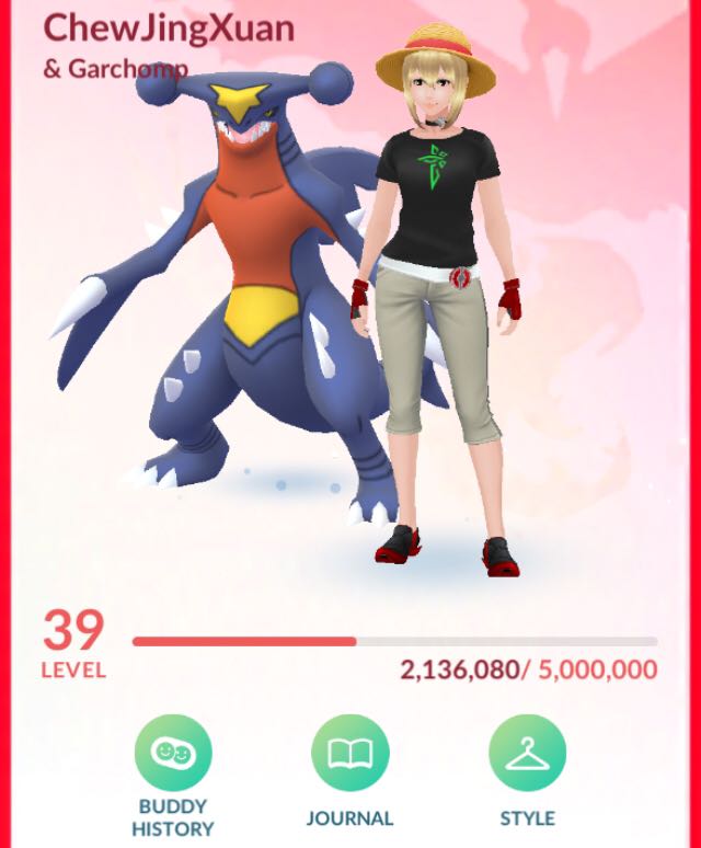 POKEMON GO VALOR TEAM, Hobbies & Toys, Toys & Games on Carousell