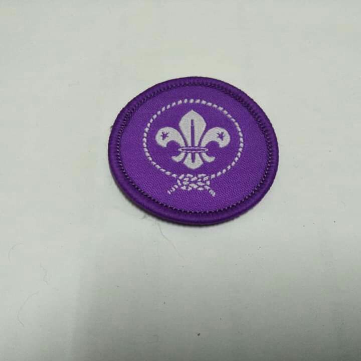 Scout Patches- WOSM, Hobbies & Toys, Stationery & Craft, Handmade Craft ...
