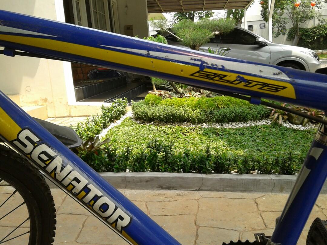 Sepeda Gunung MTB Senator ban ukuran 26 inch biru, Olah Raga, Sepeda di ...