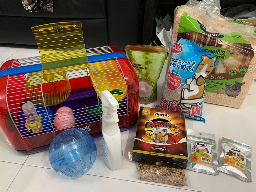 Hamster Starter Pack! Everything you need to start owning an hamster ...