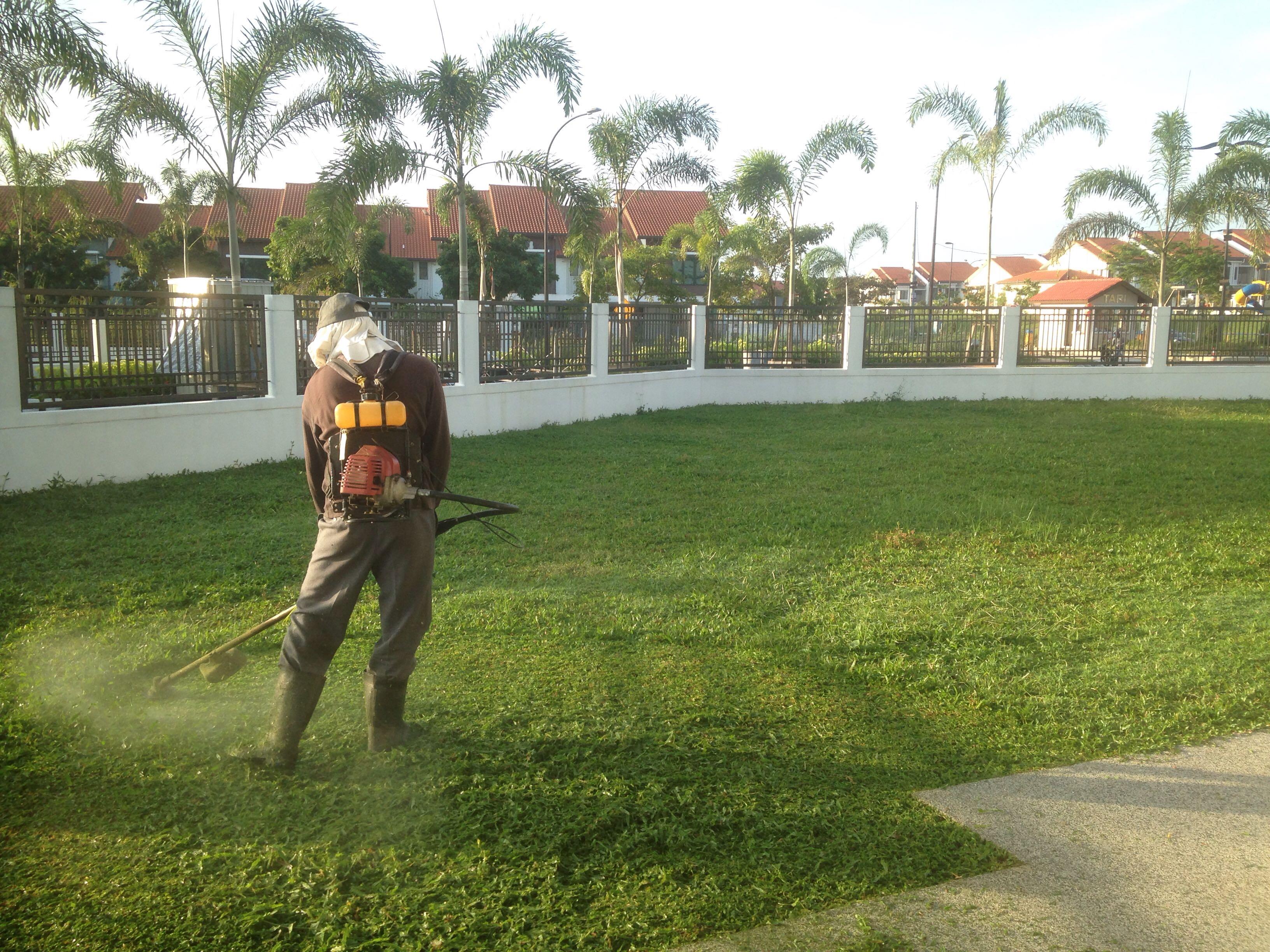 service potong rumput grass cutting landskap, Services, Others on Carousell