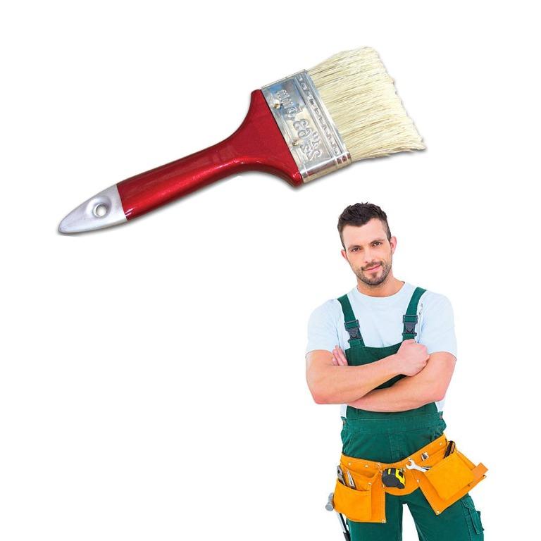 A- Berus Cat, Health & Nutrition, Assistive & Rehabilatory Aids ...