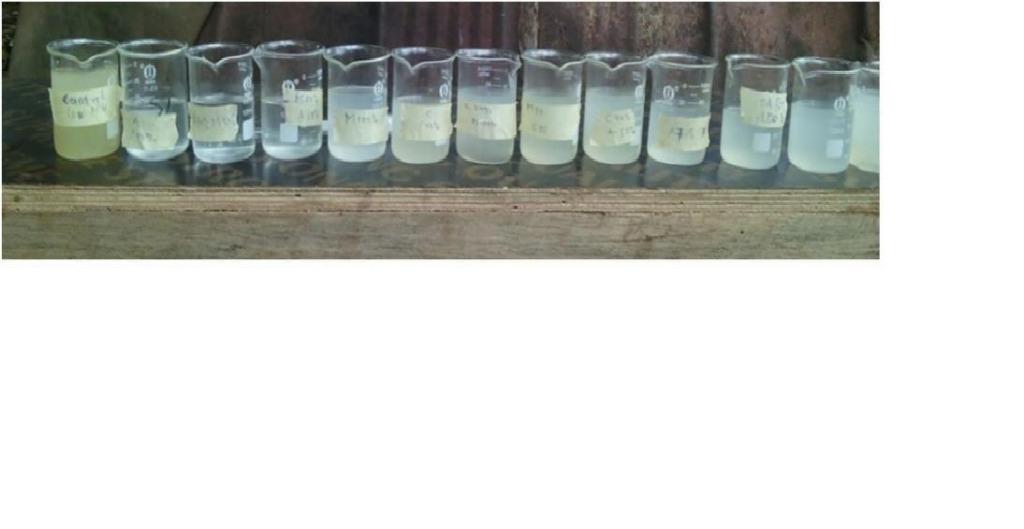 apog hydrated lime, Furniture & Home Living, Cleaning & Homecare ...