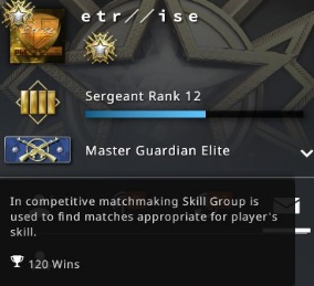 CSGO Account - Master Guardian Elite [PRIME], Video Gaming, Gaming ...