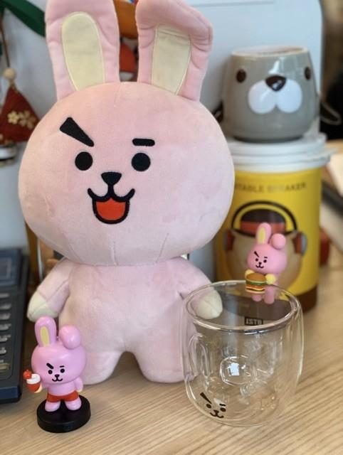 Watsons x BT21 Official Standing doll, Hobbies & Toys, Memorabilia ...