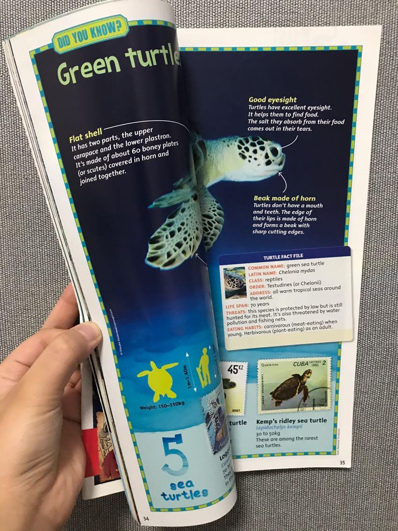 Discovery Box Magazine Ocean Adventures I Explore the World Bayard ...