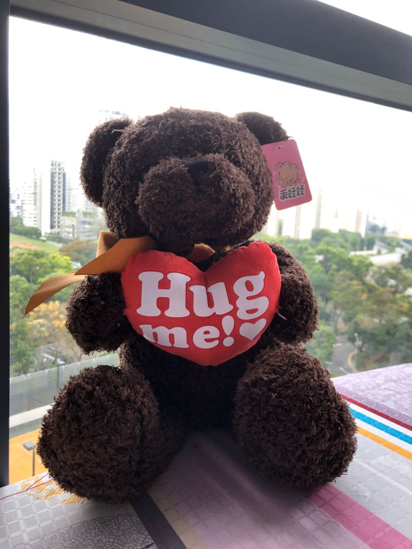 Brand new BN teddy bear hug me plush soft toy, Hobbies & Toys, Toys ...