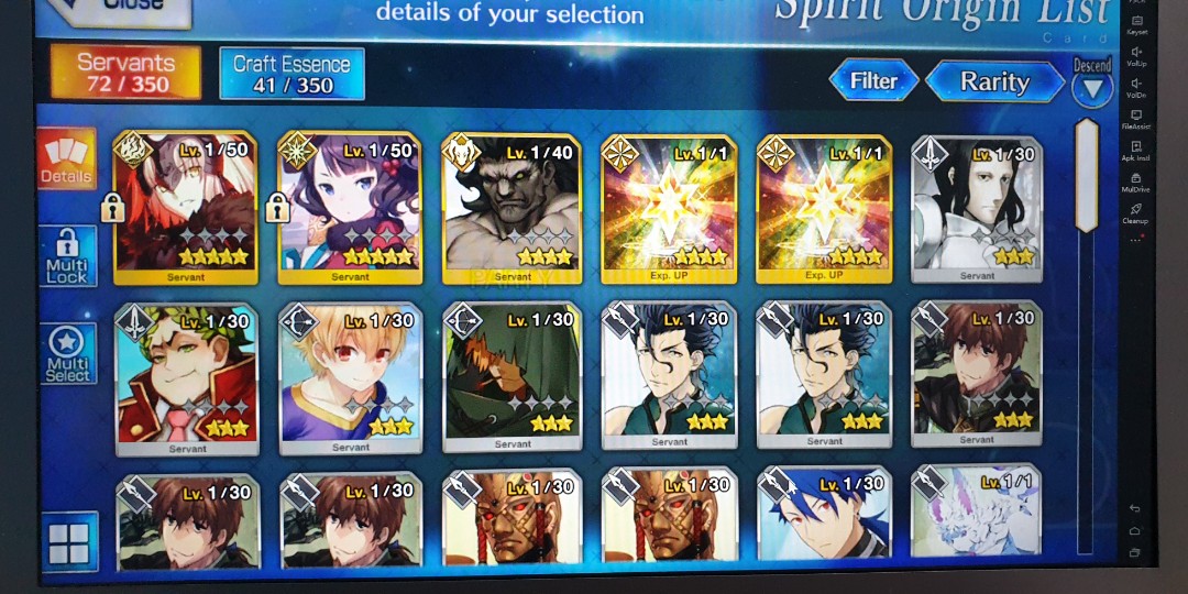 FGO NA Starter [UPDATED], Video Gaming, Gaming Accessories, Game Gift ...
