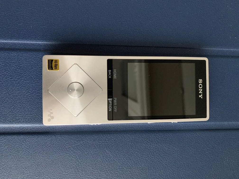 Sony Walkman NW-A25 for sale, Hobbies & Toys, Music & Media, Musical ...
