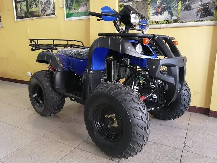 ATV 250cc Rhino MT 4speed w Rev BNW, Motorbikes, Motorbikes for Sale on ...