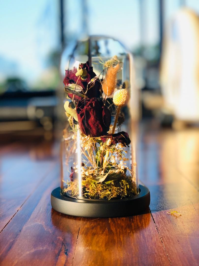 Preserved Red Rose Bell Jar, Hobbies & Toys, Stationery & Craft ...