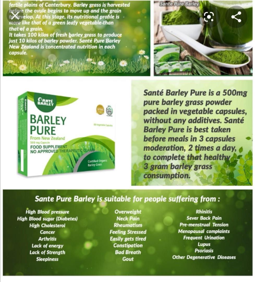 Sante Barley, Food & Drinks, Alcoholic Beverages on Carousell