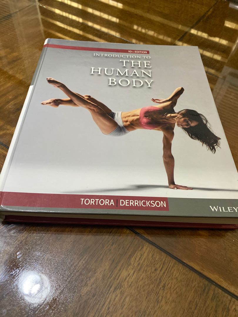 Introduction to The Human Body Anatomy Book, Hobbies & Toys, Books ...