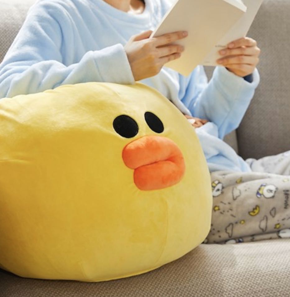 Line friends big head cushion (sally & coco), Hobbies & Toys, Toys ...