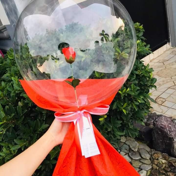 Rose Bubble Balloon, Services, Others on Carousell