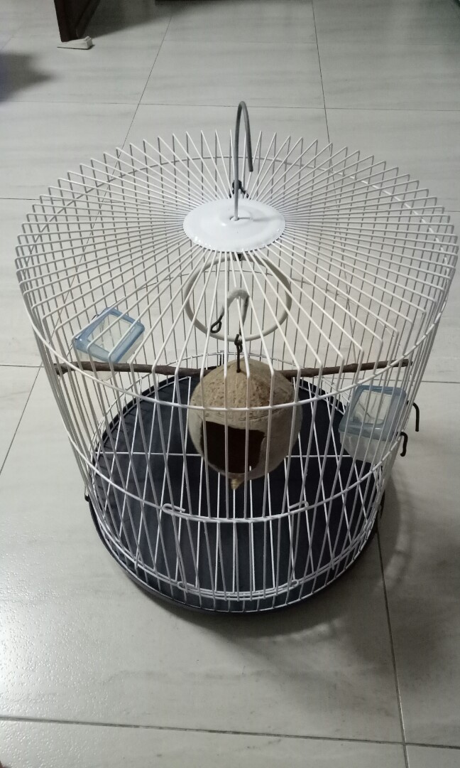 Used 13"round metal cage, Pet Supplies, Homes & Other Pet Accessories ...