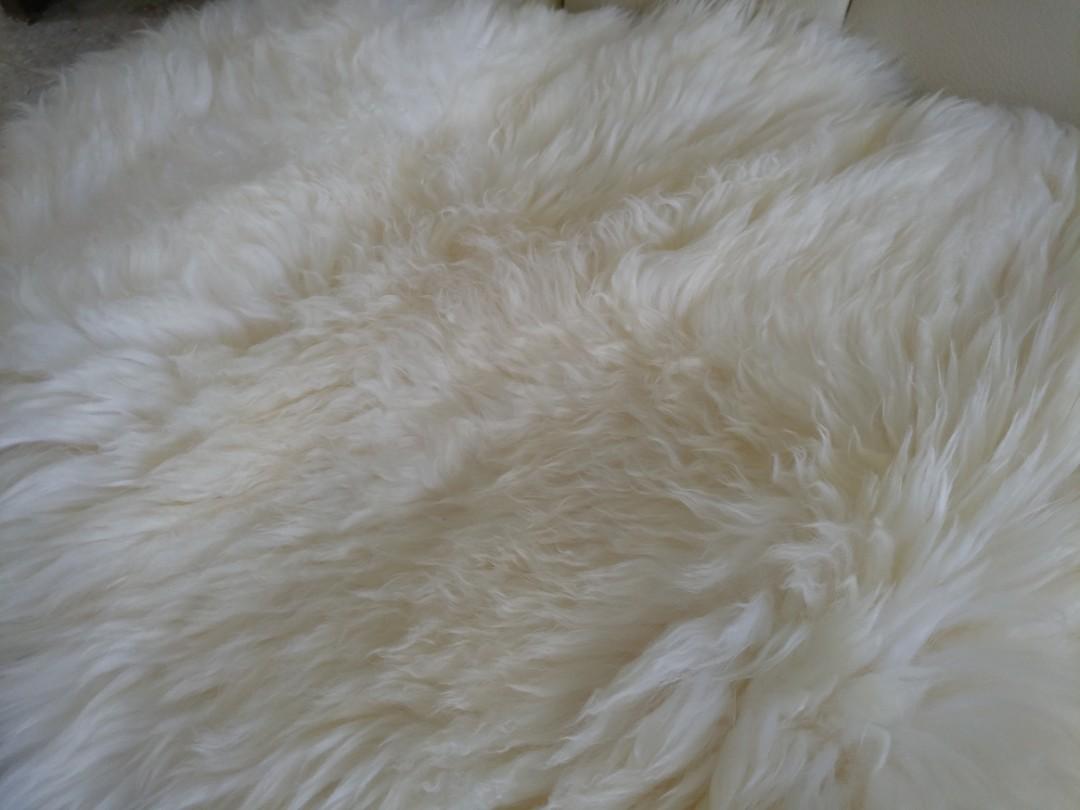 JYSK Woolmark Genuine Sheepskin, Furniture & Home Living, Home Decor ...