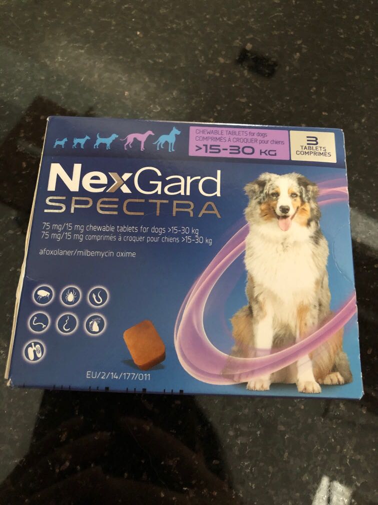 Nexgard spectra for large dogs 15-30kg pack of 3 brand new, Pet ...