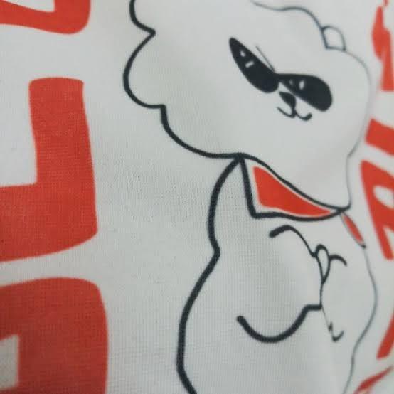 PRE-ORDER JIn's 100% alpaca rj shirt, Women's Fashion, Tops, Others ...