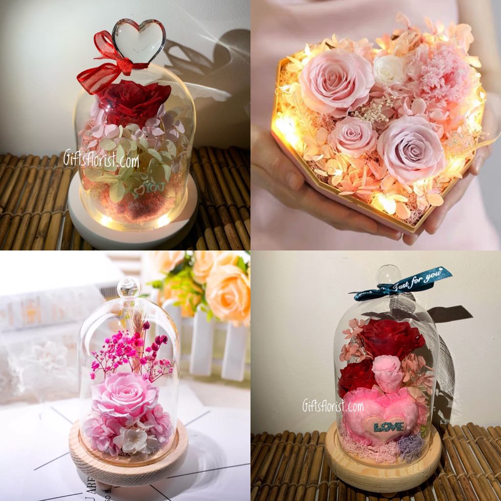Preserved Flowers Set 2: Preserved Roses| Flowers Dome| Roses For Love ...