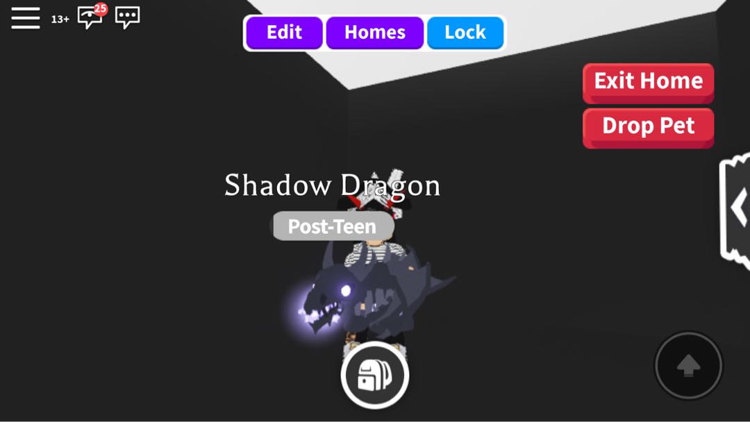 Roblox adopt me shadow dragon, Video Gaming, Gaming Accessories, Game ...