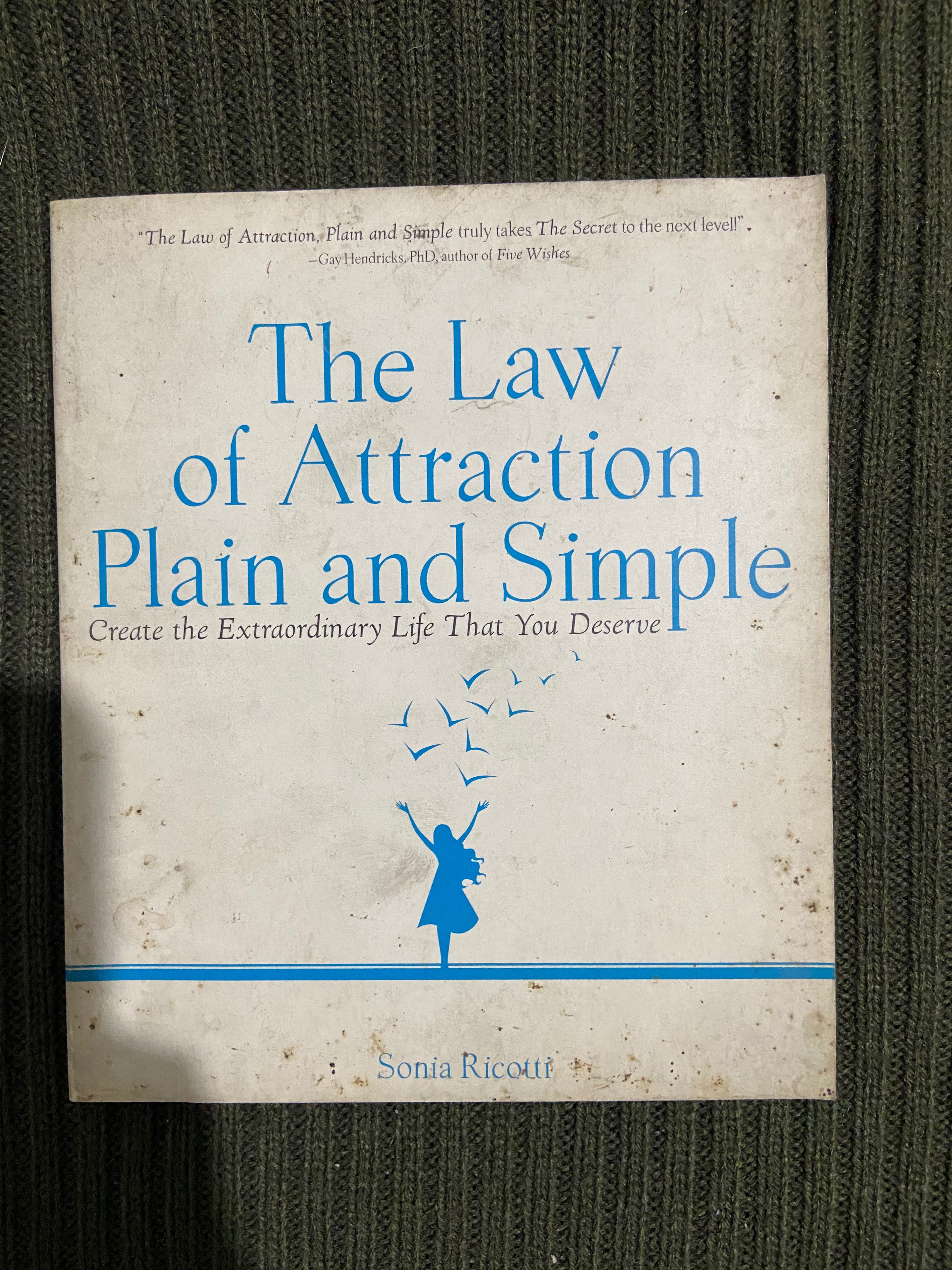The Law or Attraction Plain and Simple by Sonia Ricotti, Hobbies & Toys ...