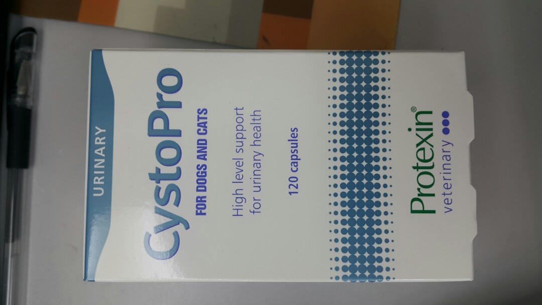 長期現貨 protexin cystopro for dogs & cats 120 capsules 貓狗護膀胱膠囊 120粒裝, 寵物用品 ...