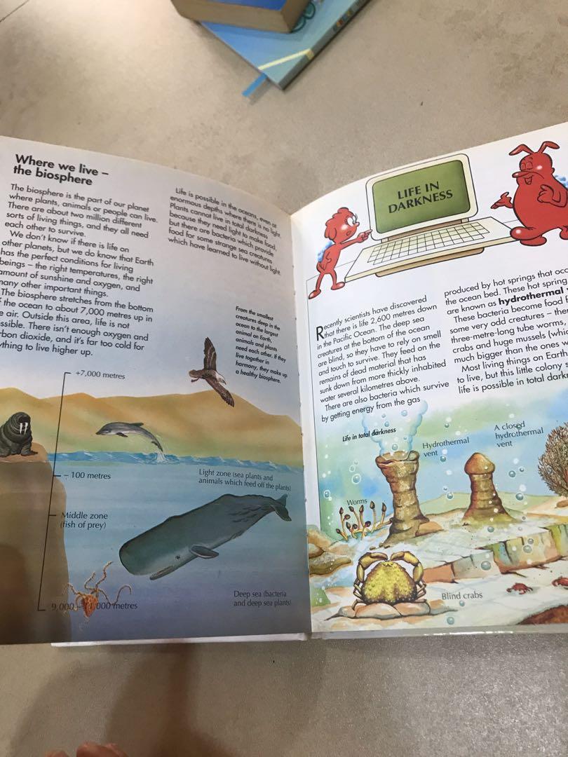 How my body works - food chain hardcover, Hobbies & Toys, Books ...