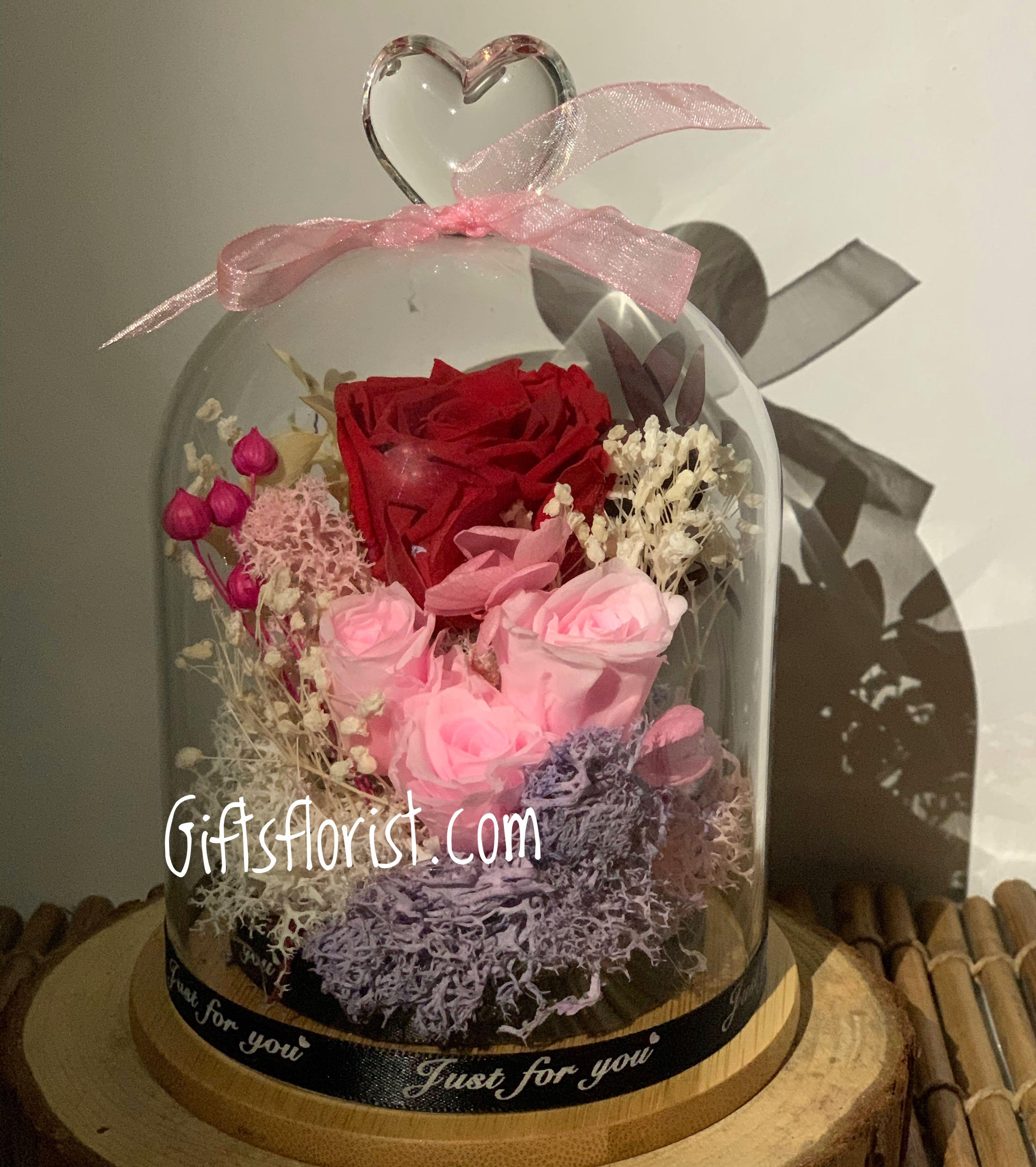 Preserved Flowers Set 2: Preserved Roses| Flowers Dome| Roses For Love ...