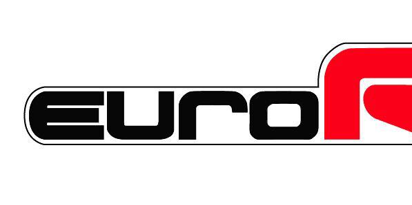 Euro R emblem logo, Car Accessories, Accessories on Carousell