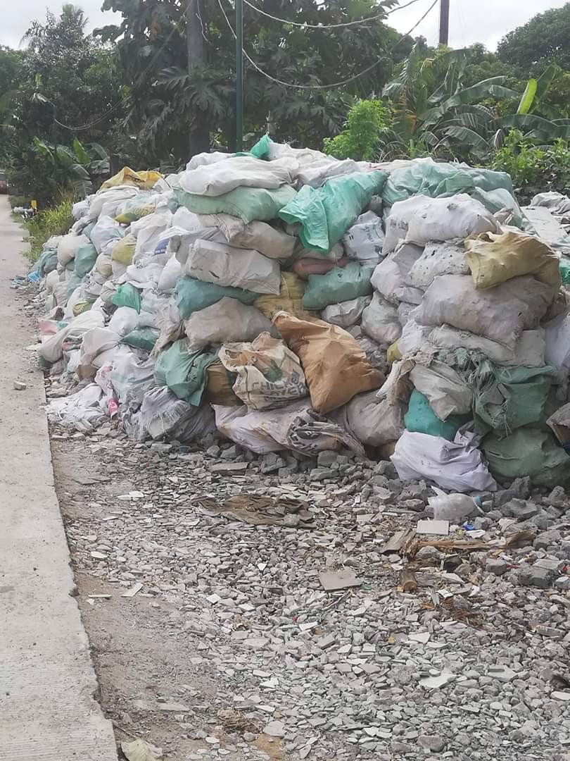 Debris (Panambak), Furniture & Home Living, Gardening, Plants & Seeds ...