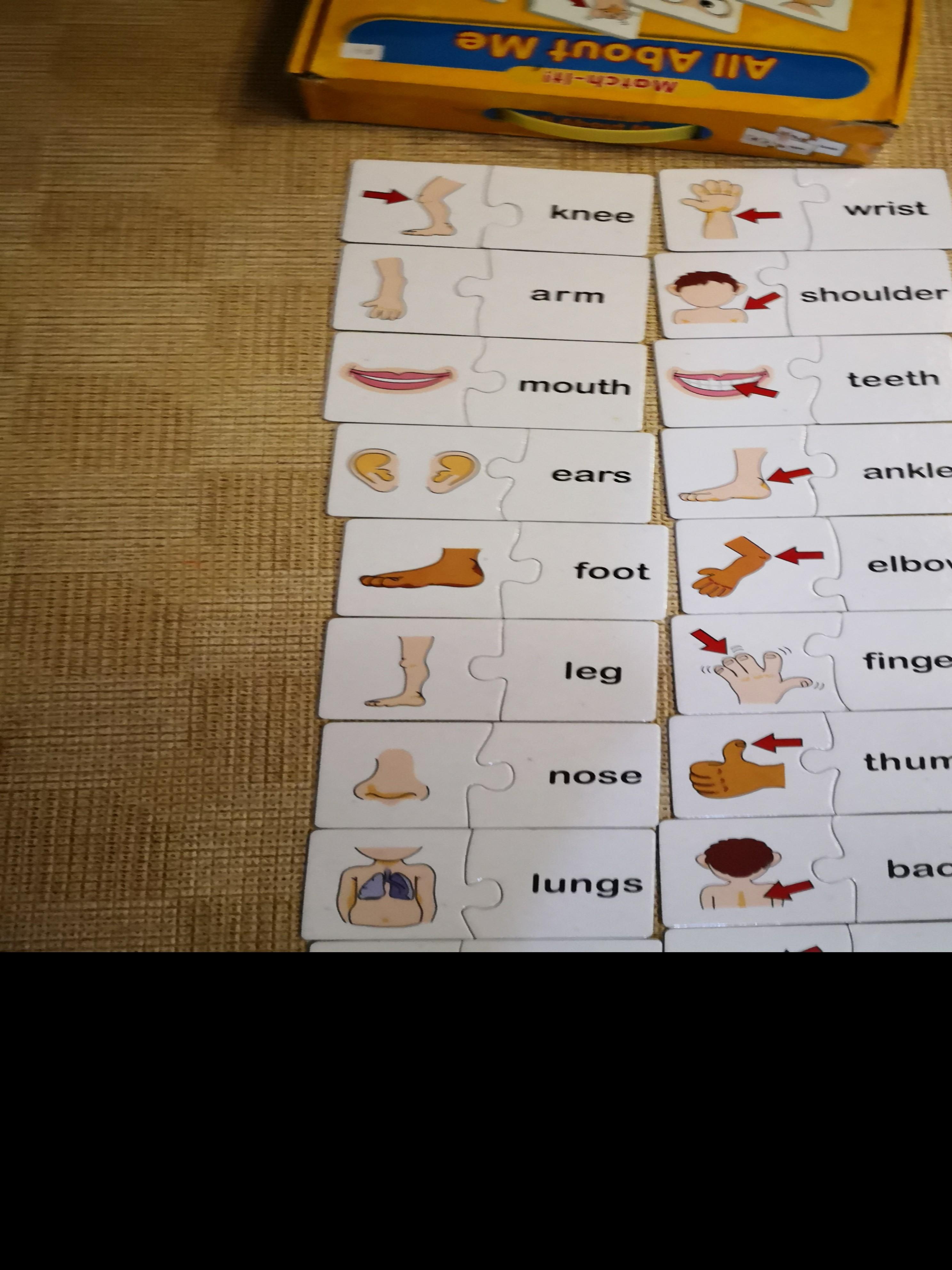 All About Me (Body parts Puzzle), Hobbies & Toys, Toys & Games on Carousell