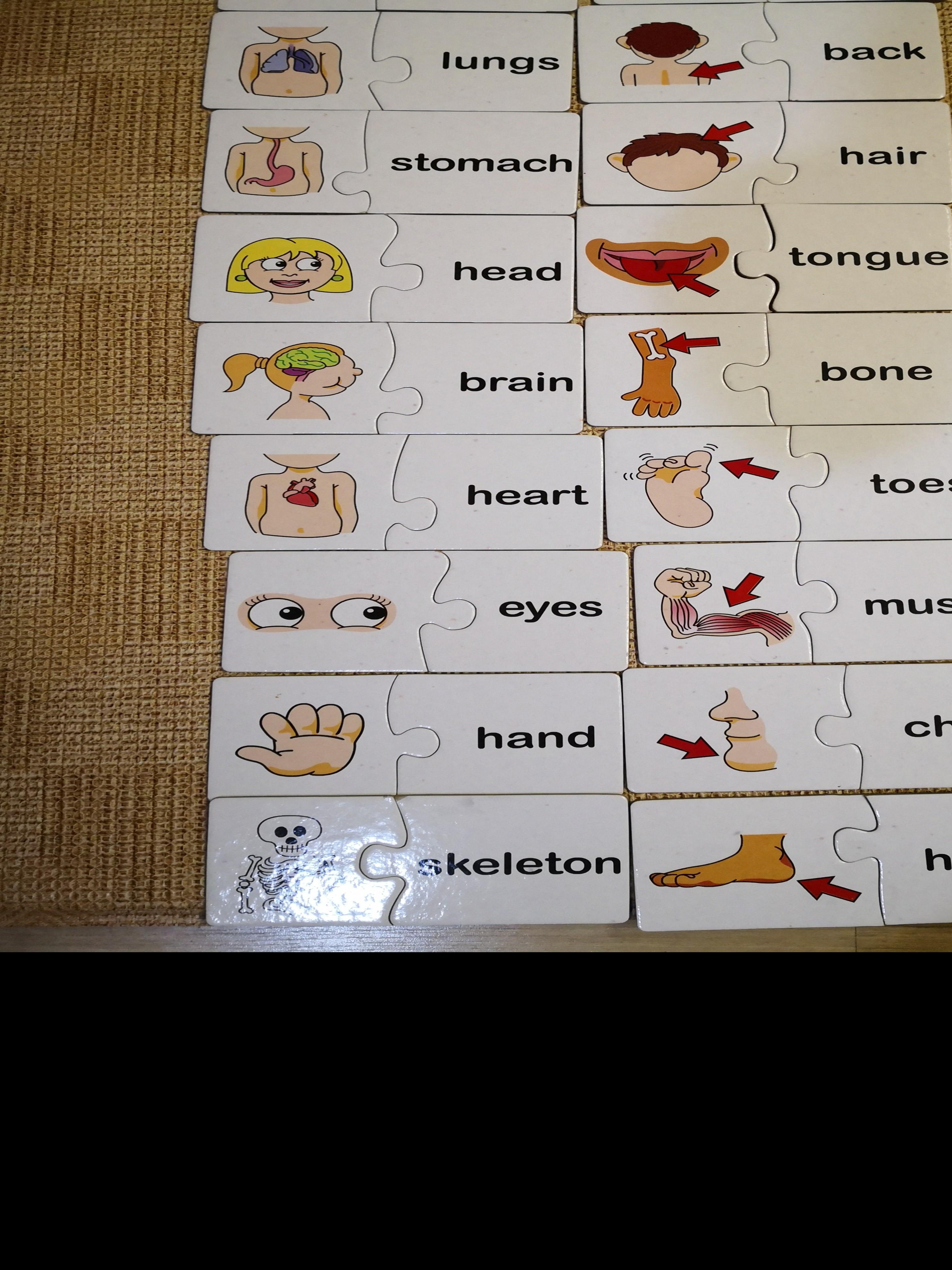 All About Me (Body parts Puzzle), Hobbies & Toys, Toys & Games on Carousell