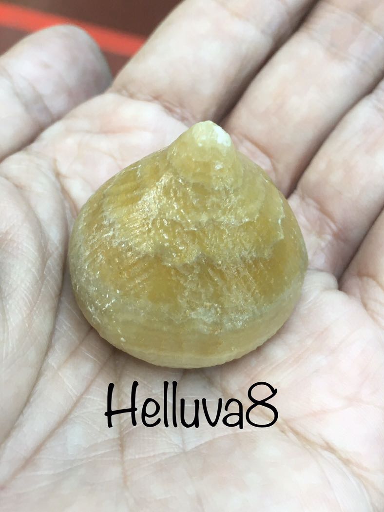 Rare Big Size Buntat Kelapa Coconut Pearl, Hobbies & Toys, Memorabilia ...