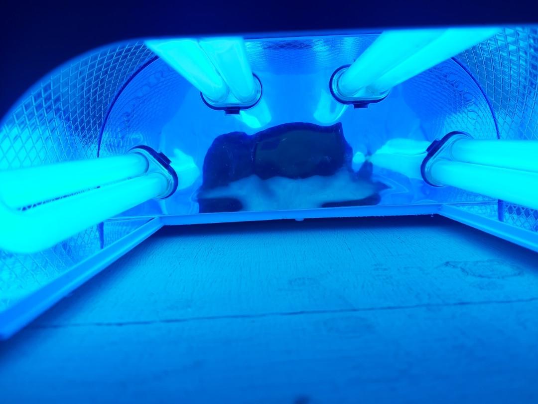 Light Curing Box(for dental use), Everything Else, Others on Carousell