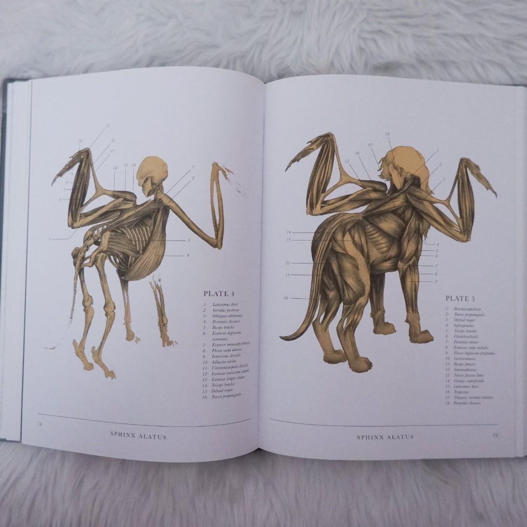 THE RESURRECTIONIST The Lost Work of Dr Spencer Black by EB Hudspeth ...