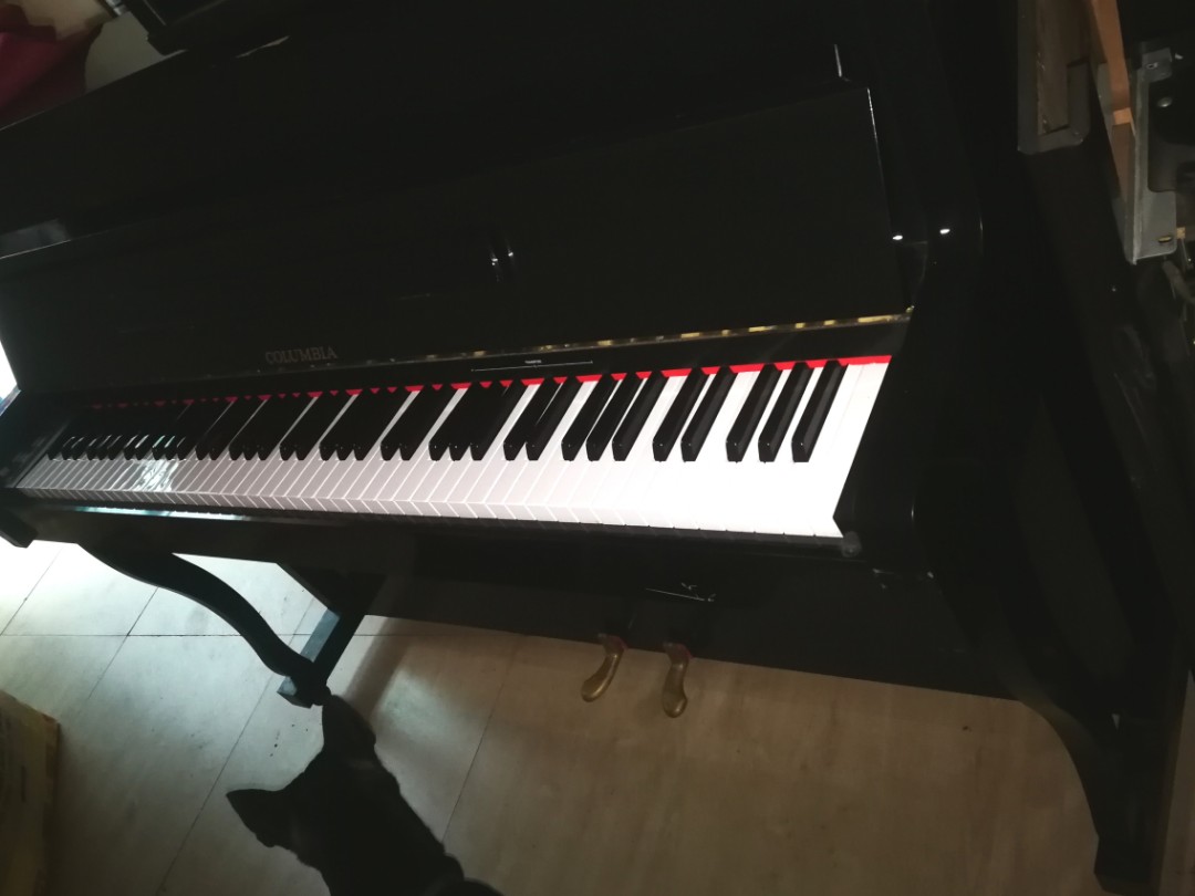 Columbia Upright Digital Piano, Hobbies & Toys, Music & Media, Musical ...