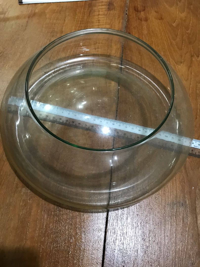 Clear glass display bowl, Furniture & Home Living, Home Decor, Vases ...