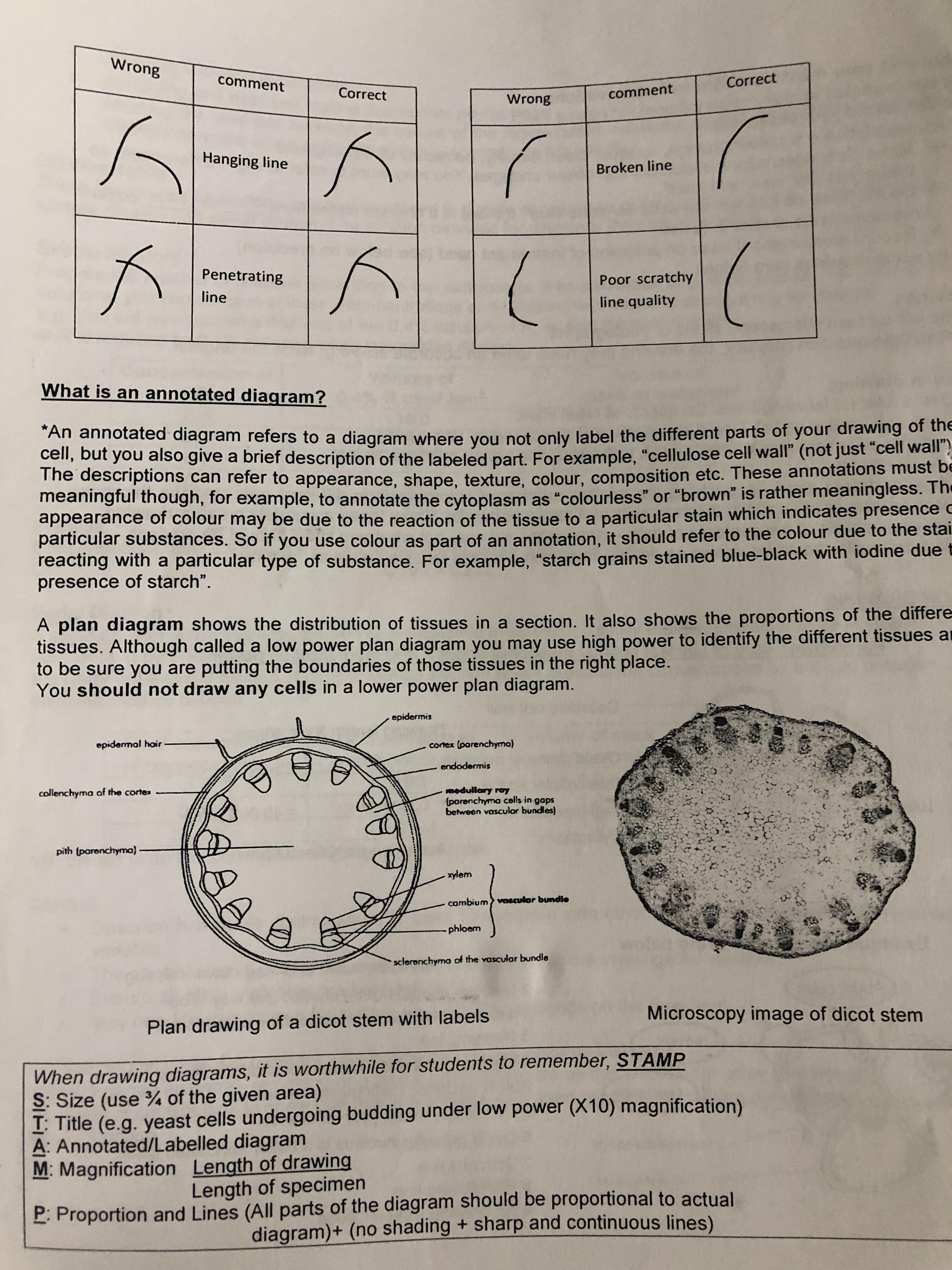 RJC H2 Biology Practical Guide Notes ( 2018-2019 ), Hobbies & Toys ...