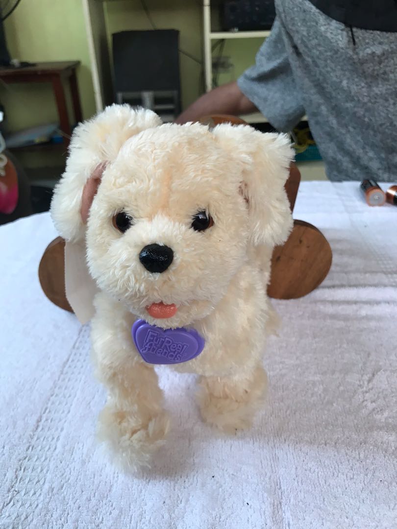 furreal friends interactive cute dog plush, Hobbies & Toys, Toys ...