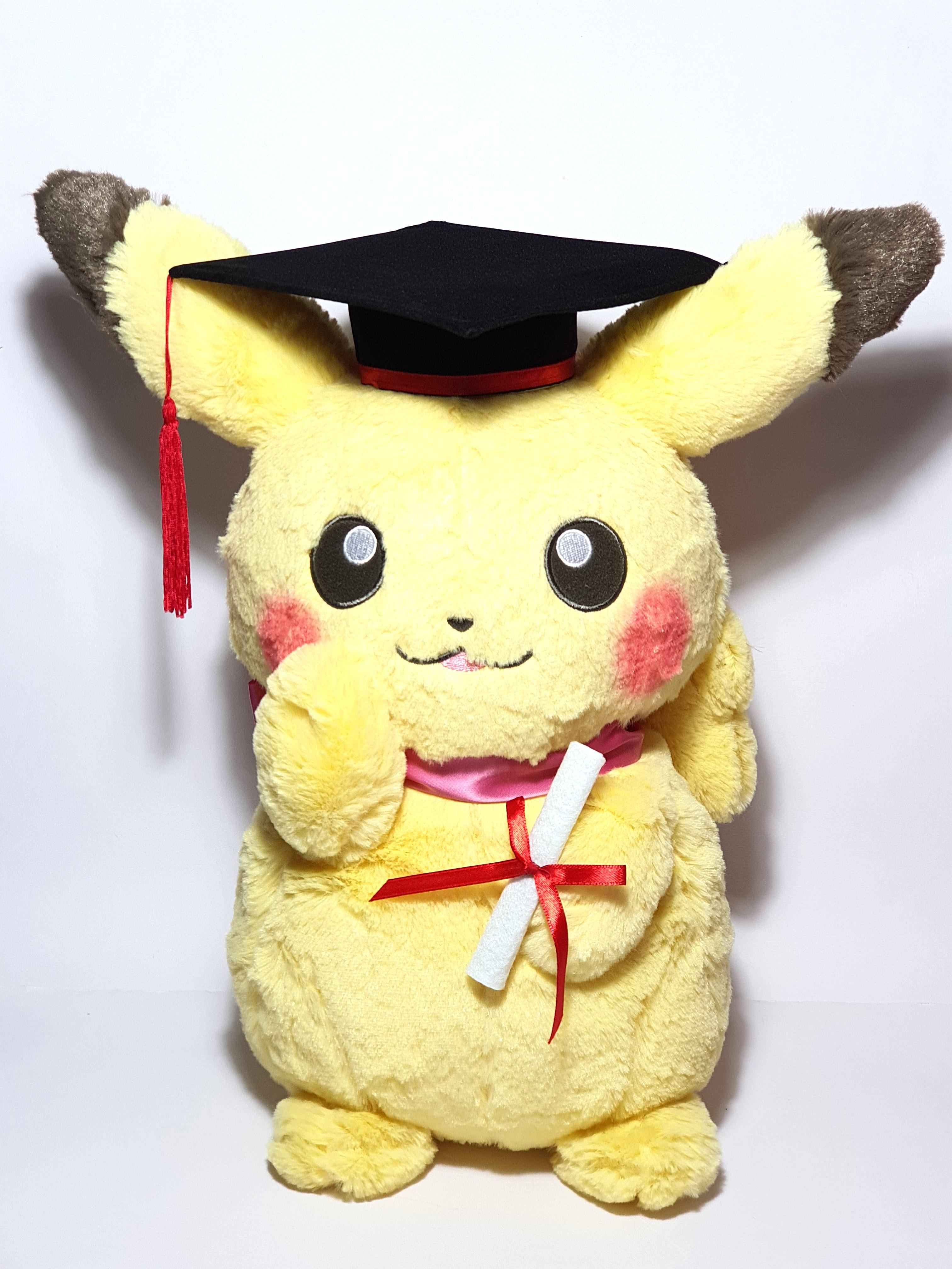 Pokemon for you Pikachu Graduation Convocation Gift Plush, Hobbies ...