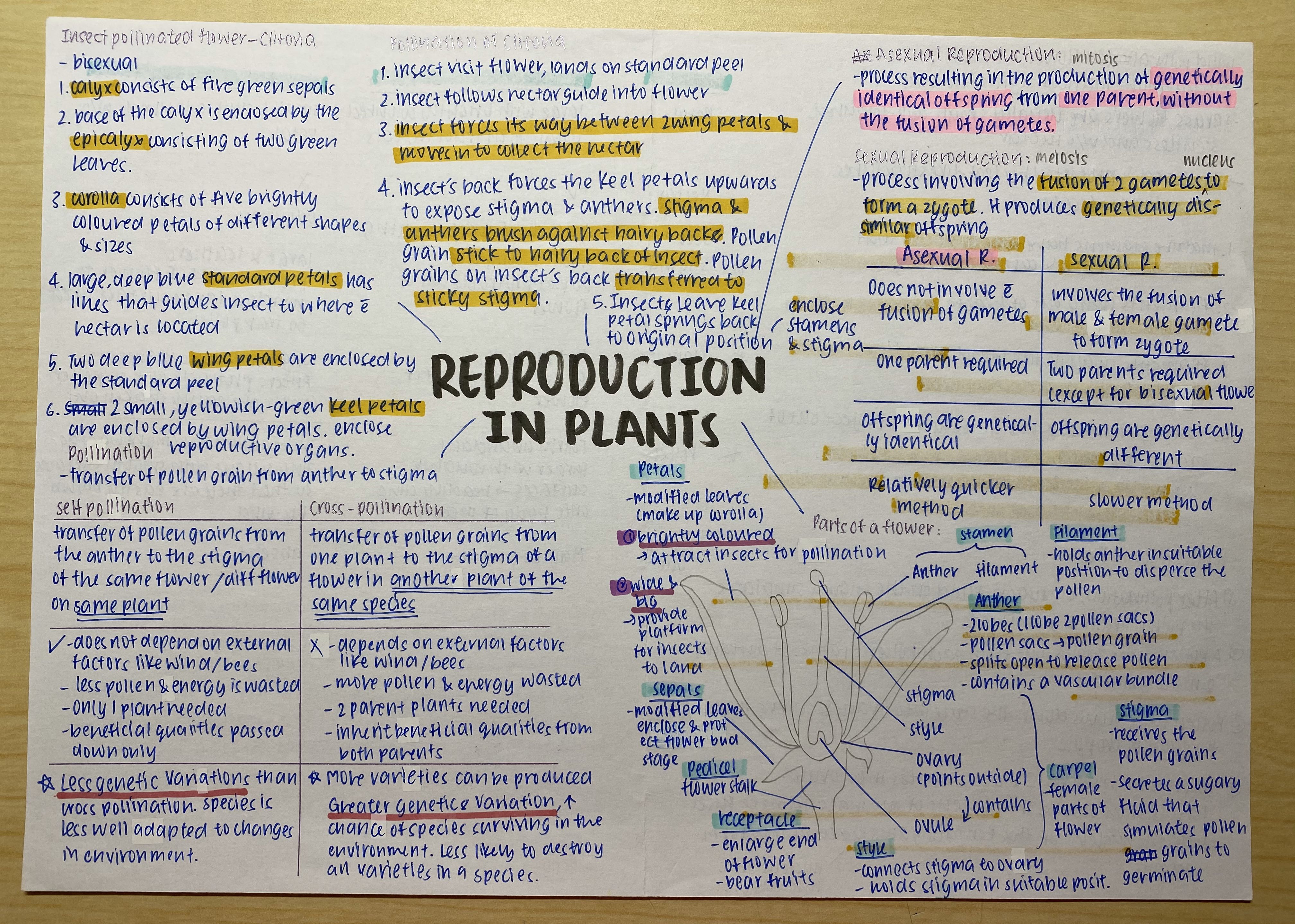 Combined Science Biology Notes, Hobbies & Toys, Books & Magazines ...
