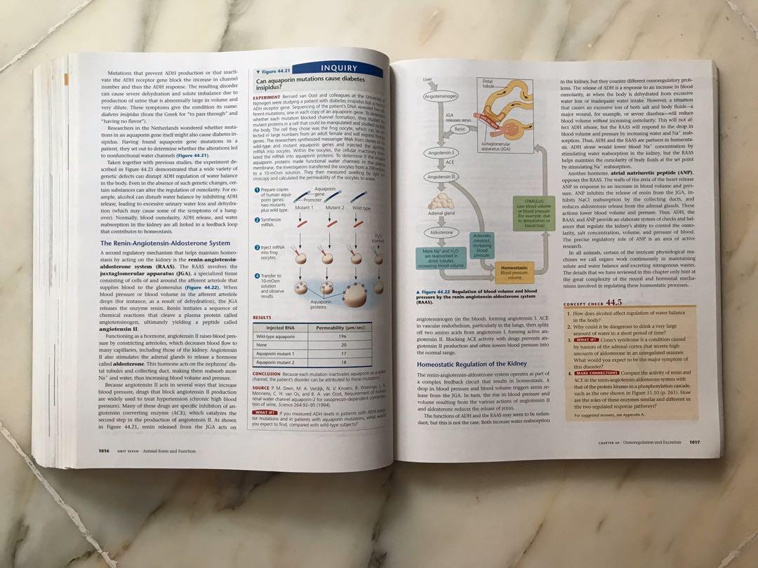 GCE A Level Biology Campbell Textbook, Hobbies & Toys, Books ...
